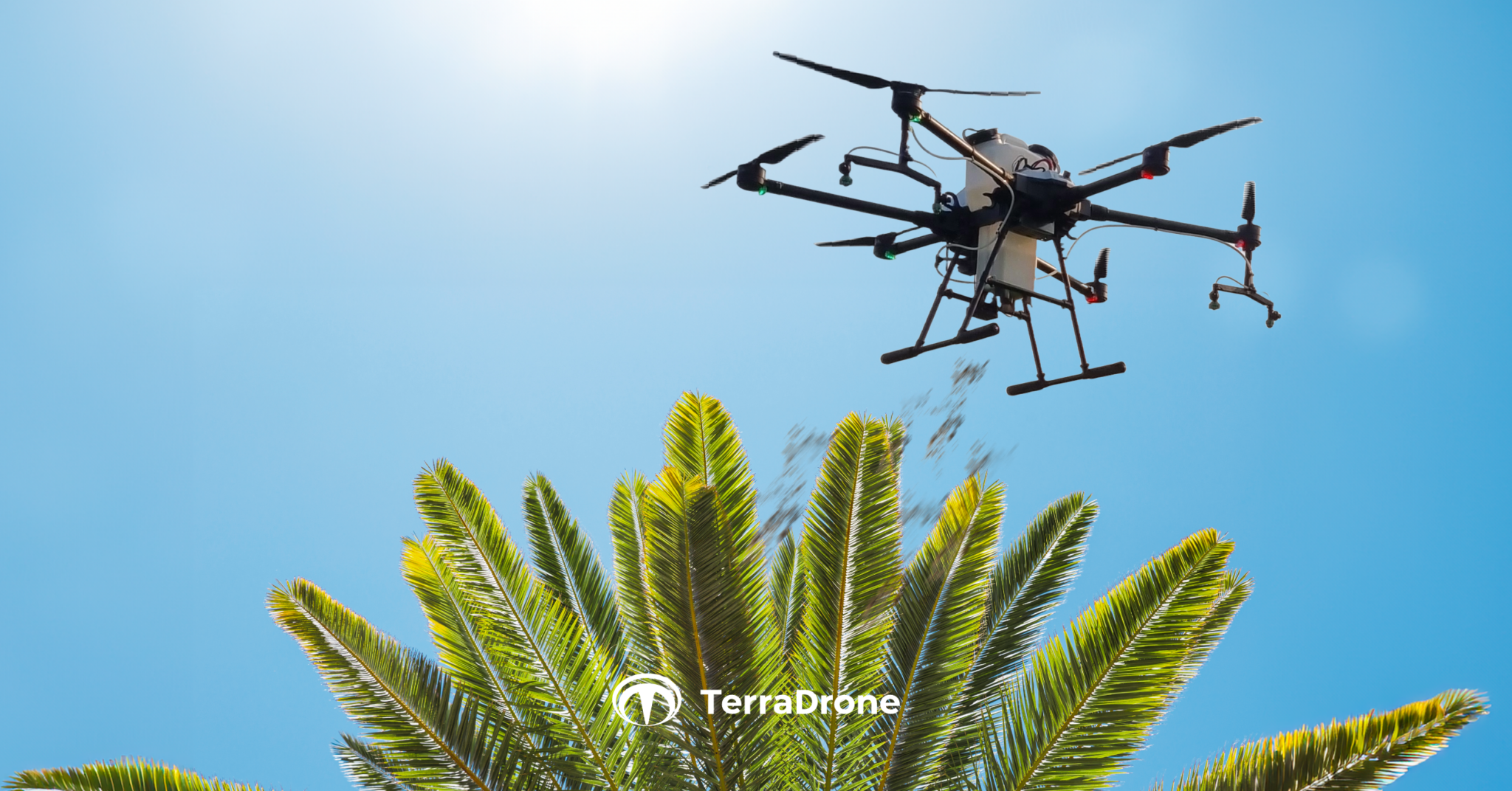 Terra Drone’s Subsidiary Terra Drone Agri Deploys Advanced Drones Through ‘Terra Agri’ Service ...